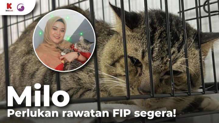 Demi Milo Yang Derita FIP, Kami Akan Terus Berjuang!